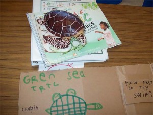 How to Teach Information Writing in Kindergarten