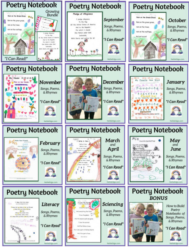 “I Can Read” Poetry and Song Notebooks!